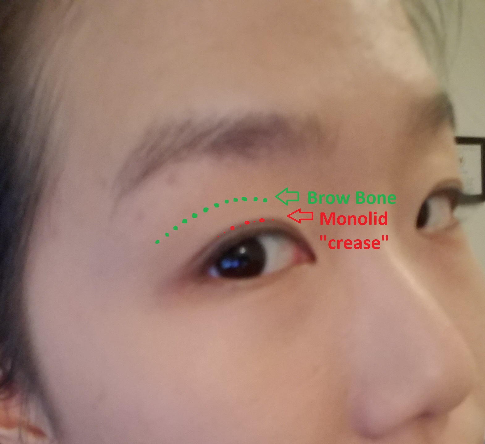 Everyday Eye Tutorial for Monolid/ Hooded Eyes – RicaIsHungry